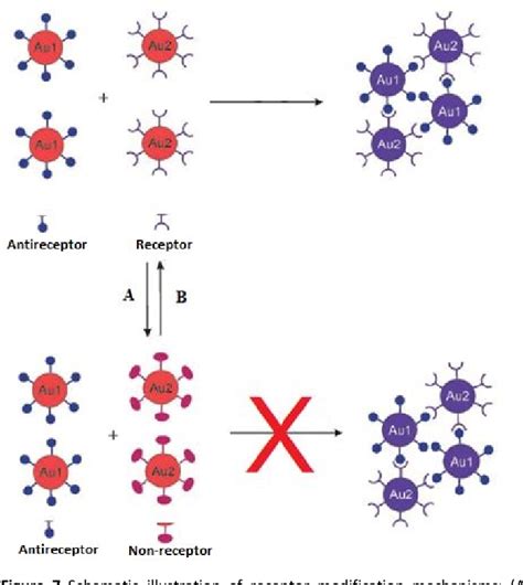 Figure 7 From Gold Nanoparticle Based Colorimetric Biosensors