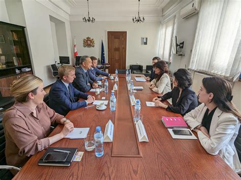 მაია ბითაძე ვესტმინსტერის დემოკრატიის ფონდის დირექტორს შეხვდა