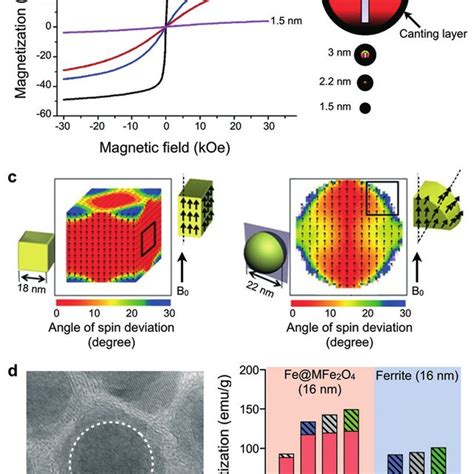 Different Types Of Mnps Developed For Magnetic Sensing A Download