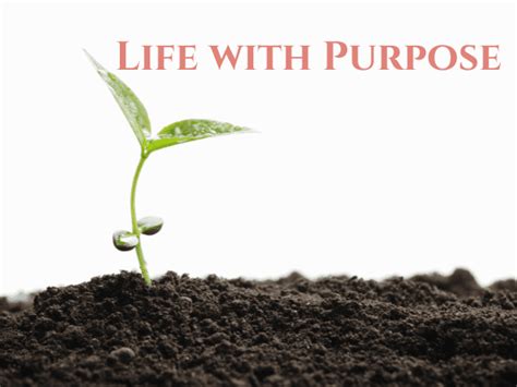 And It Begins Joy Within