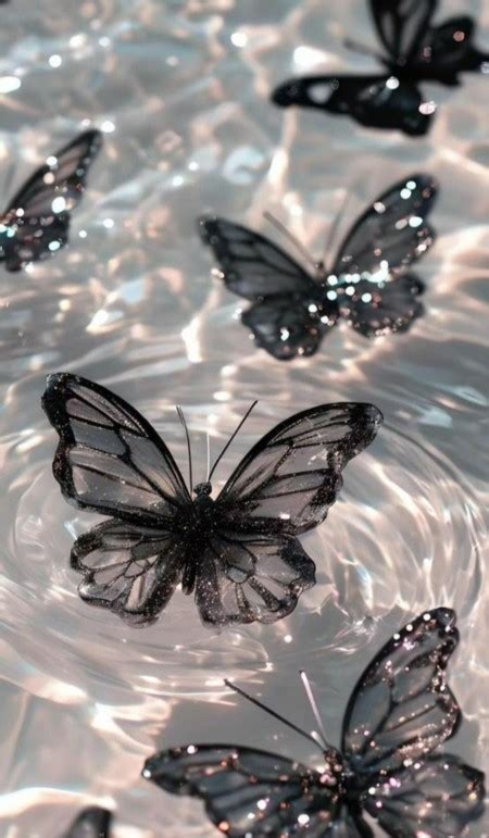 عکس های پروانه بهترین تصاویر پروانه پیشنهادی تاوعکس