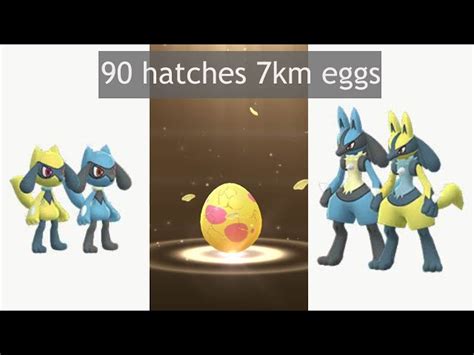 Riolu Egg