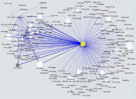 The Proteins Associated With Hsp90 Subnetwork Node Size Is