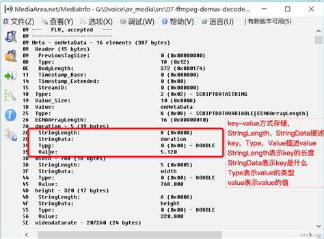Flv文件格式详解：tag结构与解析 Csdn博客