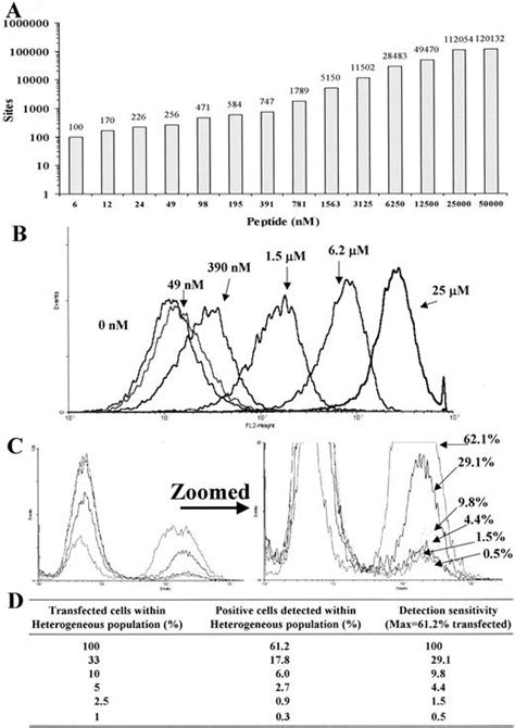 Direct Phenotypic Analysis Of Human Mhc Class I Antigen Presentation Visualization