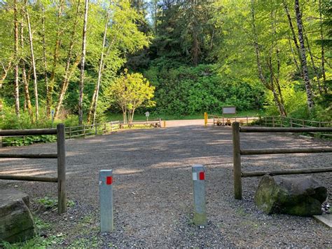Chehalis River Surge Plain Natural Area Preserve Updated July 2025