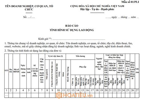 Mẫu Báo Cáo Tình Hình Sử Dụng Lao động 2024 Mới Nhất