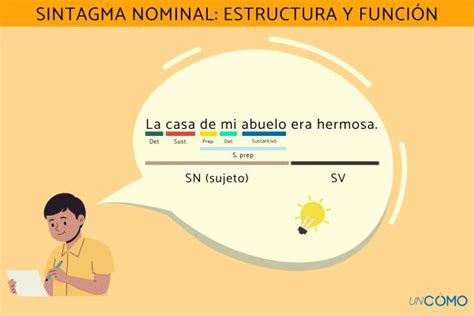 Sintagma nominal estructura función y ejemplos