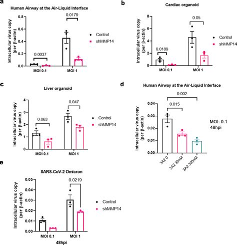 Mt1 Mmp Inhibition Suppresses Sars Cov 2 Infection In Human