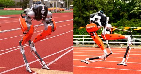 This Bipedal Robot Sets Guinness World Record For Robotic 100 Metre Sprint