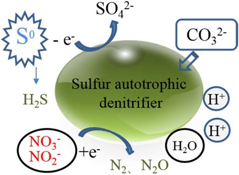 Sulfur Based Autotrophic Denitrification With Eggshell For Nitrate Contaminated Synthetic