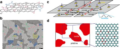 2 A Atomic Structures Of A Single Layer Go Sheet Taking Into