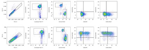 Activation T Cell Subset Phenotype Flow Cytometry Panel Bio Techne