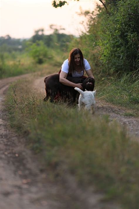 Woman Dogs Road Free Photo On Pixabay