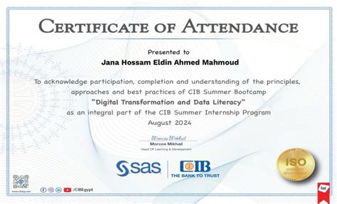 jana hossam on linkedin cib summer internship 2024 sas internship