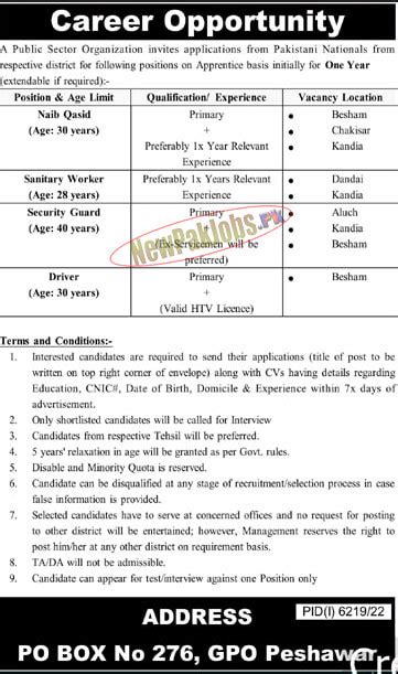 Public Sector Organization Po Box No 276 Peshawar Jobs 2023