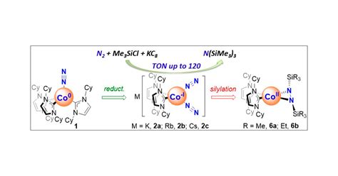Bis Dinitrogen Cobalt −1 Complexes With Nhc Ligation Synthesis Characterization And Their