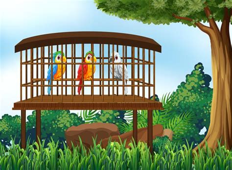 Three Parrot Birds In Wooden Cage 368047 Vector Art At Vecteezy