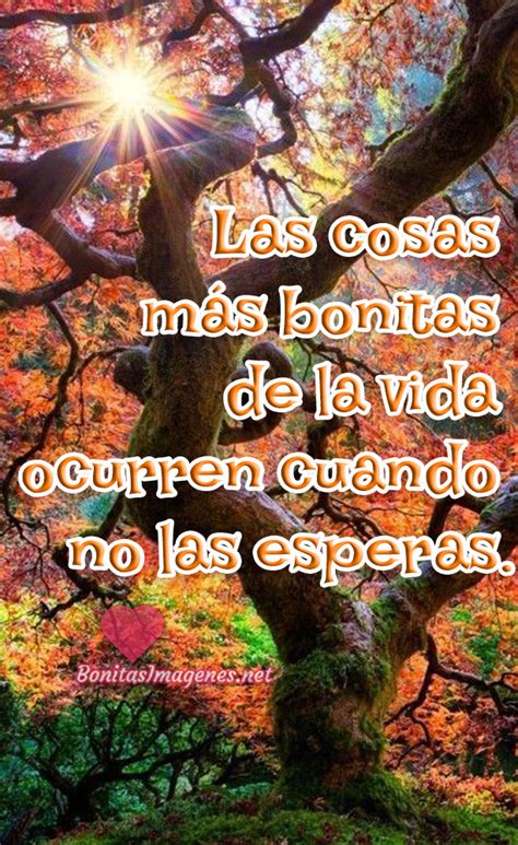 Bonitas Imagenes Con Frases Para Wasap