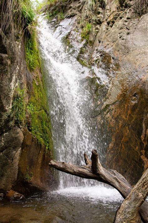 A Waterfall Flows Over Rocks In A Forest Filled With Green Trees Stock Image Image Of Lushness