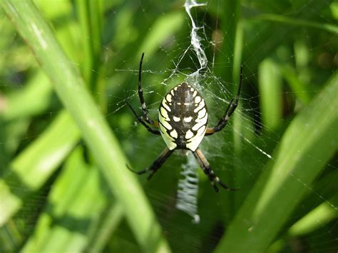debugging 101 common issues in backend development and how to solve