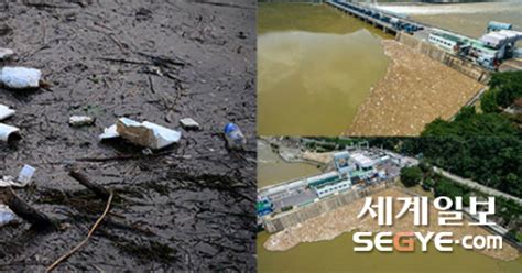 사진in세상 빈 병스티로폼 등 생활폐기물팔당댐·한강은 쓰레기장 방불