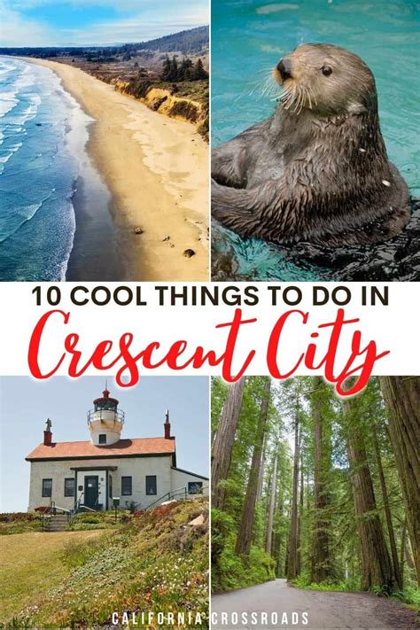10 Creative Things To Do In Crescent City Ca Artofit