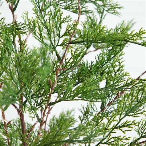 3 Lighted Artificial Cypress Tree With 120 Warm White Led Lights Nearly Natural