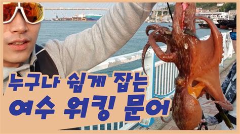 여수 도보권 문어 낚시 시작 마릿수 사이즈 대박 Youtube