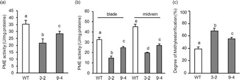 Pectin Methylesterase Pme Activity And Cell Wall Methylesterification Download Scientific