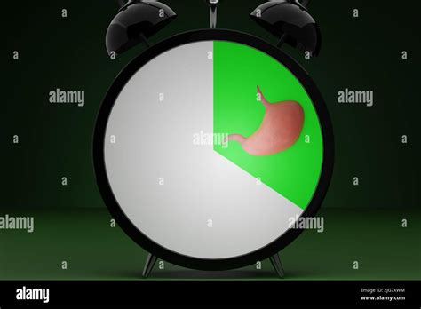 Interval Nutrition Concept Alarm Clock With A Stomach On The Dial And