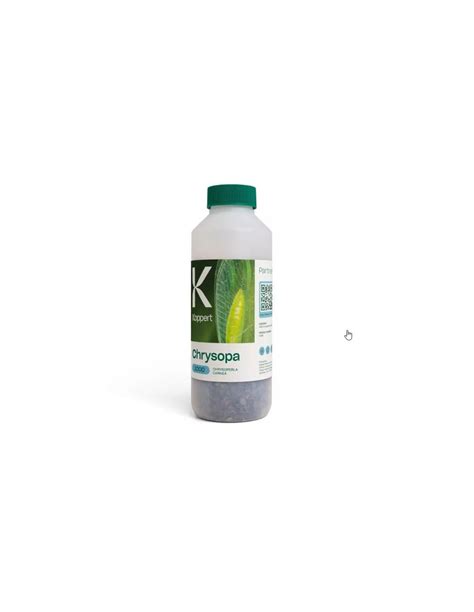 Chrysopa Koppert Controllo Afidi E Altri Parassiti 1000 Larve