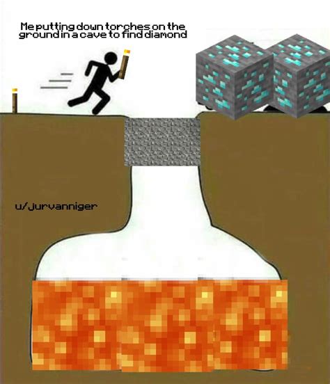 Pro Tip Place Torches On Walls R Minecraftmemes