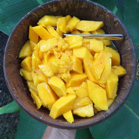 Mango Buy Usa Grown Mango Online From Miami Fruit