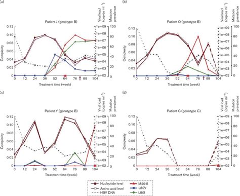 Comparison Of Dynamics Of Hbv Quasispecies Complexity With Dynamics Of