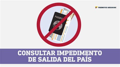 Consultar Impedimento De Salida Del País Ecuador Simiec
