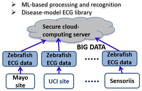Cloud Based Mobile Data Management System • Sensoriis