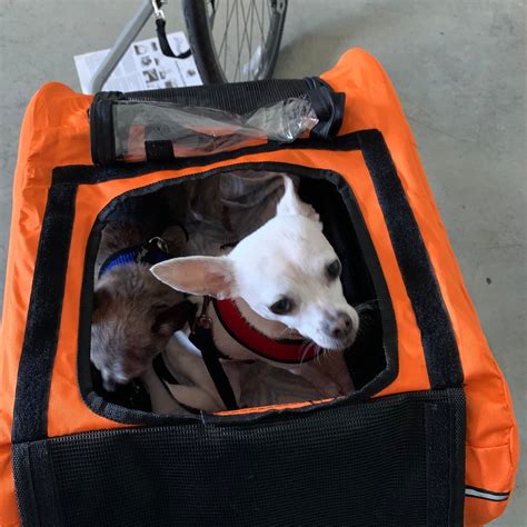 Booyah Small Pet Trailer Orange Booyah Strollers