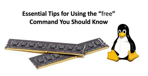 essential tips for using the “free” command you should know by