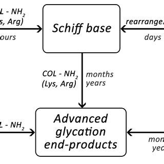 A Representative Crosslinking Scheme Of Collagen Either With Edc Or In