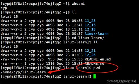 Linux 基本指令csdn Linux命令 Csdn博客 Linux 基本指令csdn Linux命令 Csdn博客