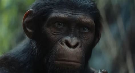Kingdom Of The Planet Of The Apes Actores Y Personajes Quién Es Quién