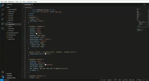Video Pusuluri Sai Jyothi Sri On Linkedin Octanetintern Webdevelopment
