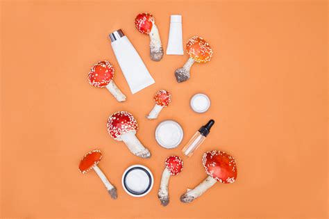 버섯의 화장품은 베이지 색 배경에 파리 아갈릭 Amanita Muscaria의 화장품 친환경 천연물 메이크업 화장품에 대한 스톡