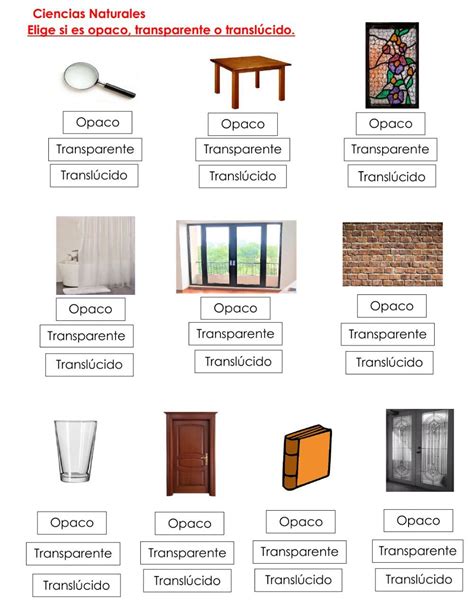 Tipos De Cuerpos U Objetos Worksheet