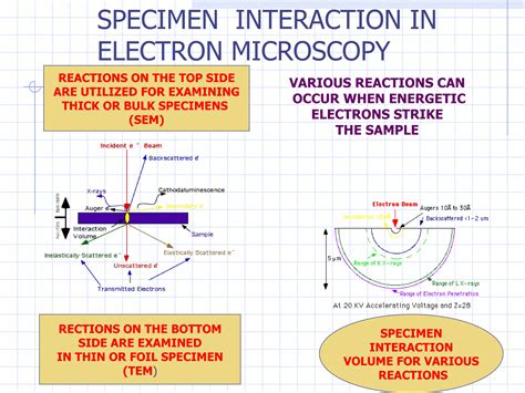 Transmission Electron Microscope PPT