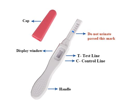 Ovulation Test Midstream 6 0mm Leading Diagnostic Testing Service Manufacturer