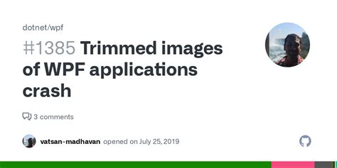Trimmed Images Of Wpf Applications Crash Issue Dotnet Wpf