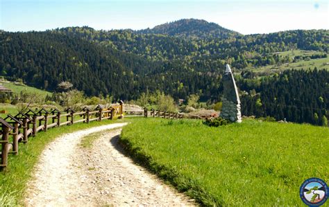 Przewodnik po Krościenku nad Dunajcem Przewodnik po Pieninach