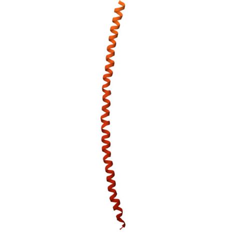 Rcsb Pdb 8aia Cryo Em Structure Of Crescentin Filaments Wildtype